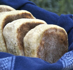 Tangy English Muffins – Wild Yeast